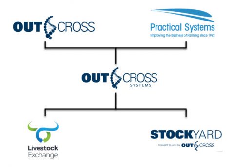 About Us > Outcross Systems